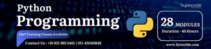 Python Programming Training with Job Assistance (2024)